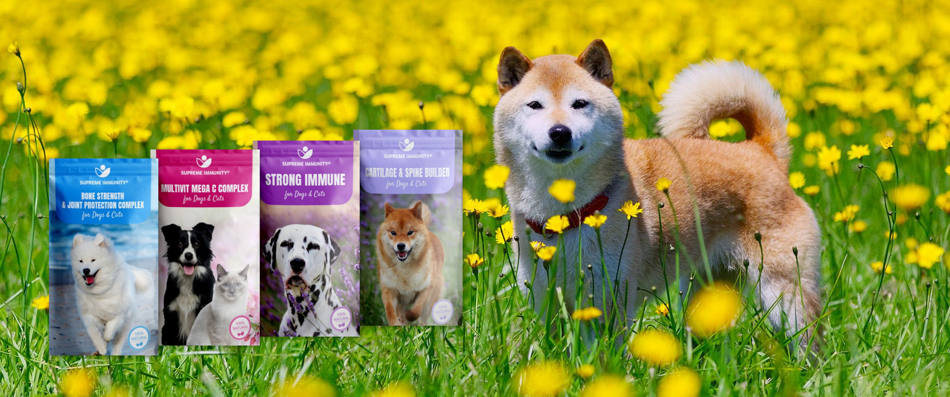 SUPREME IMMUNITY – Health and immune system enhancing nutritional ...